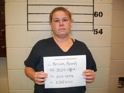 Arrest Log | Cushing OK
